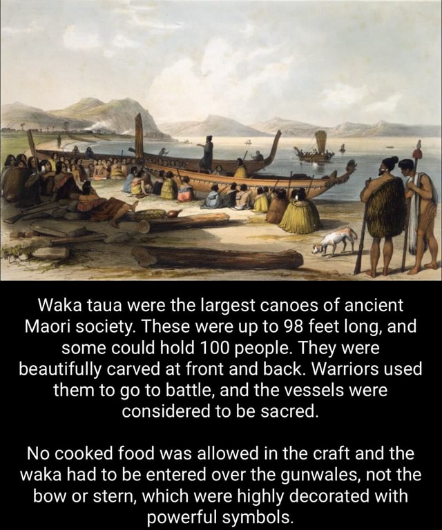Waka taua were the largest canoes of ancient Maori society. These were ...