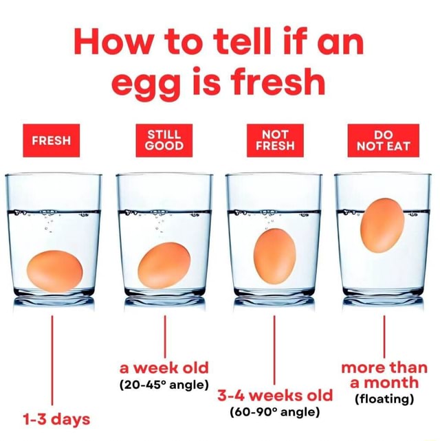 How to tell if an egg is fresh STILL NOT DO GOOD FRESH NOT EAT more ...