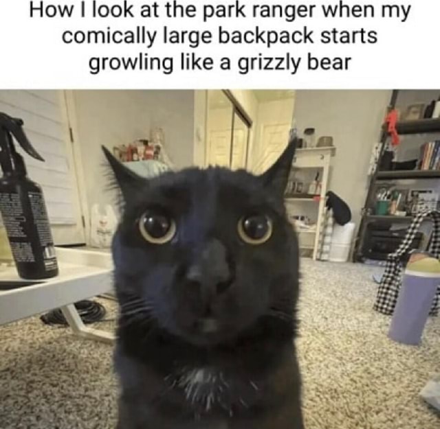 How I look at the park ranger when my comically large backpack starts ...