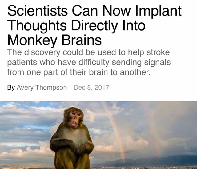 Scientists Can Now Implant Thoughts Directly Into Monkey Brains The ...