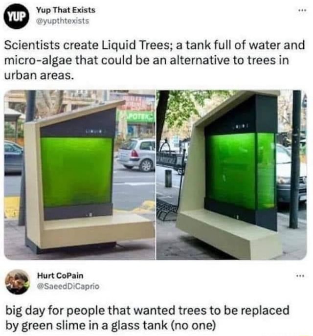 Yup That Exists Scientists create Liquid Trees; a tank full of water ...