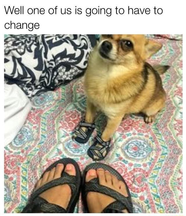 Meme Dump Pt 4 Well One Of Us Is Going To Have To Change SS IFunny meme-dump-pt-4-well-one-of-us-is-going-to-have-to-change-ss-ifunny