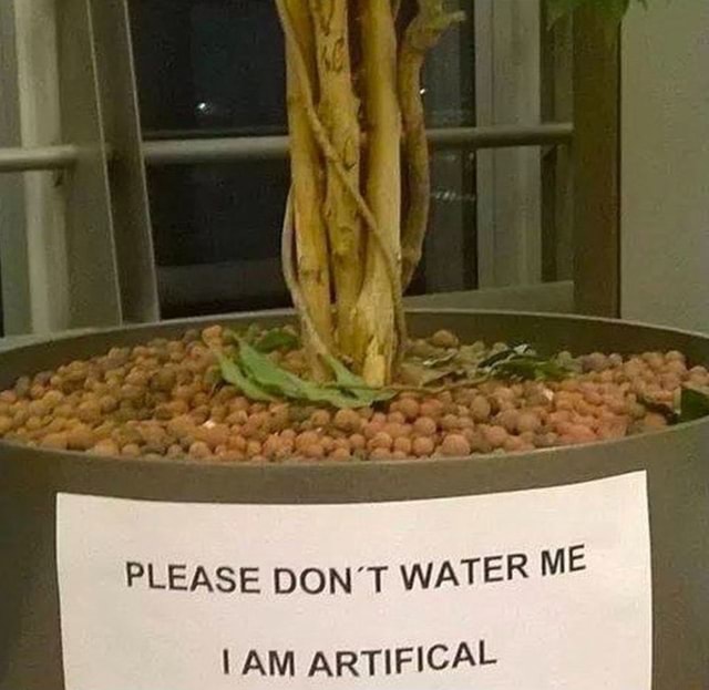 PLEASE DON'T WATER ME AM ARTIFICAL - iFunny