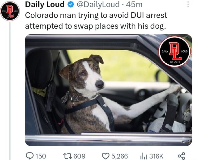 Daily Loud @ Dailyloud Colorado man trying to avoid DUI arrest ...