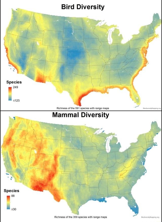 Bird Diversity SS Species my 249 Richness of the 591 species with range ...