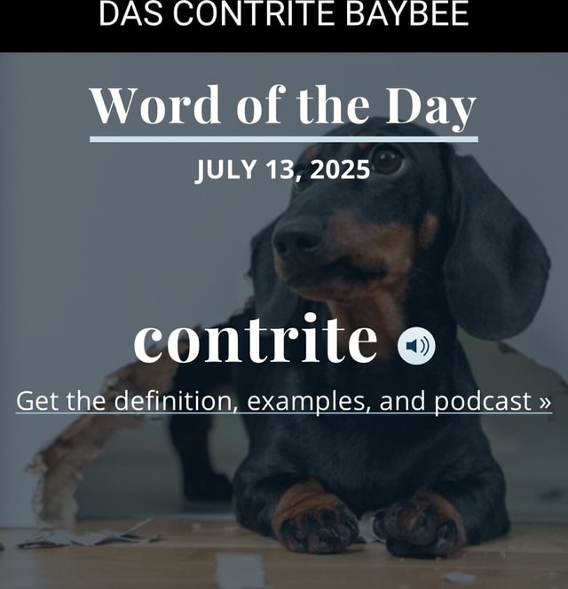 DAS CONTRITE BAYBEE Word of the Day JULY 13, 2025 contrite Get the ...