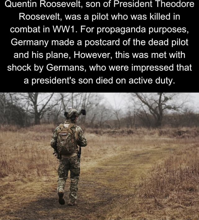 Quentin Roosevelt, son of President Theodore Roosevelt, was a pilot who ...