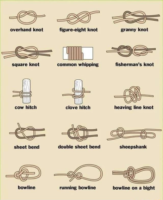 Overhand Knot Figure eight Knot Granny Knot Square Knot Common Whipping