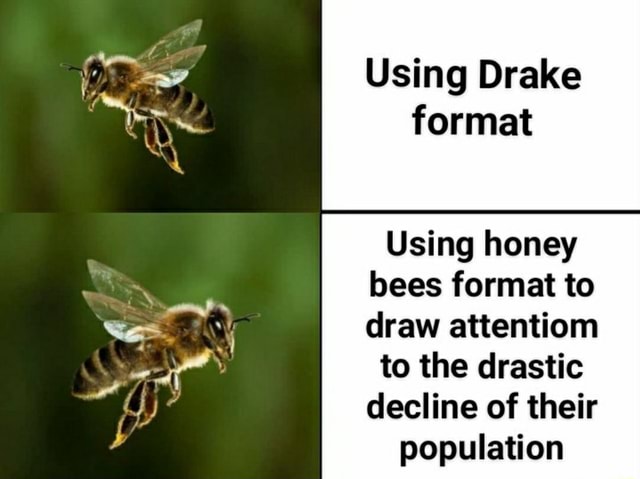 Using Drake format Using honey bees format to draw attentiom to the ...