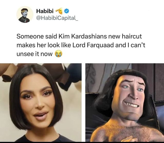 Habibi Someone said Kim Kardashians new haircut makes her look like ...
