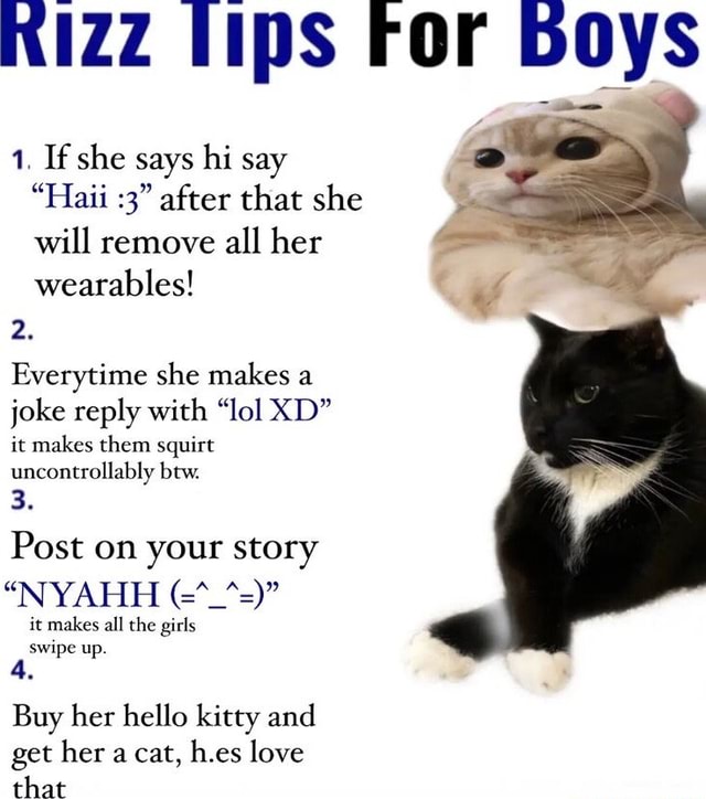 NIZZ Hips For boys 1. If she says hi say "Haii :3" after that she will ...