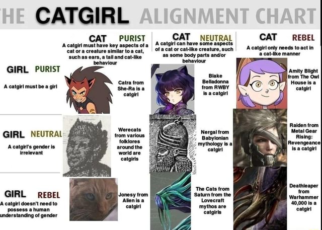 CATGIRL CAT PURIST CAT NEUTRAL irl must have key aspects ofa catgirl ...