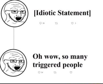 [Idiotic Statement] Oh wow, so many triggered people - iFunny