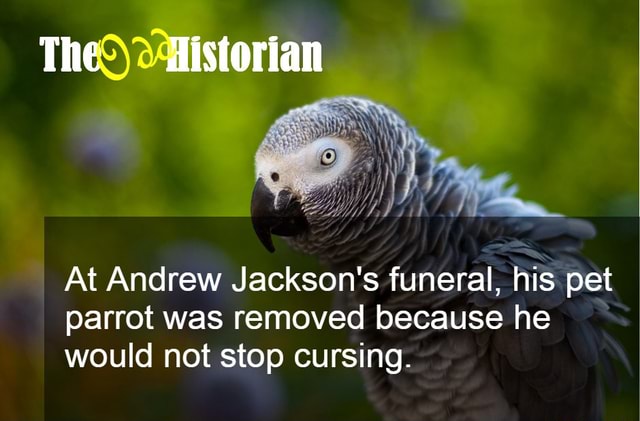 Sounds like his parrot - At Andrew Jackson's funeral, his pet parrot ...