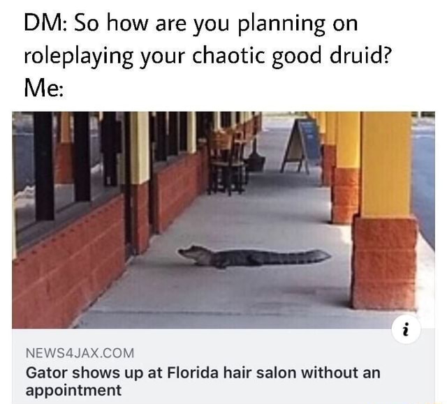 DM: So how are you planning on roleplaying your chaotic good druid? Me ...