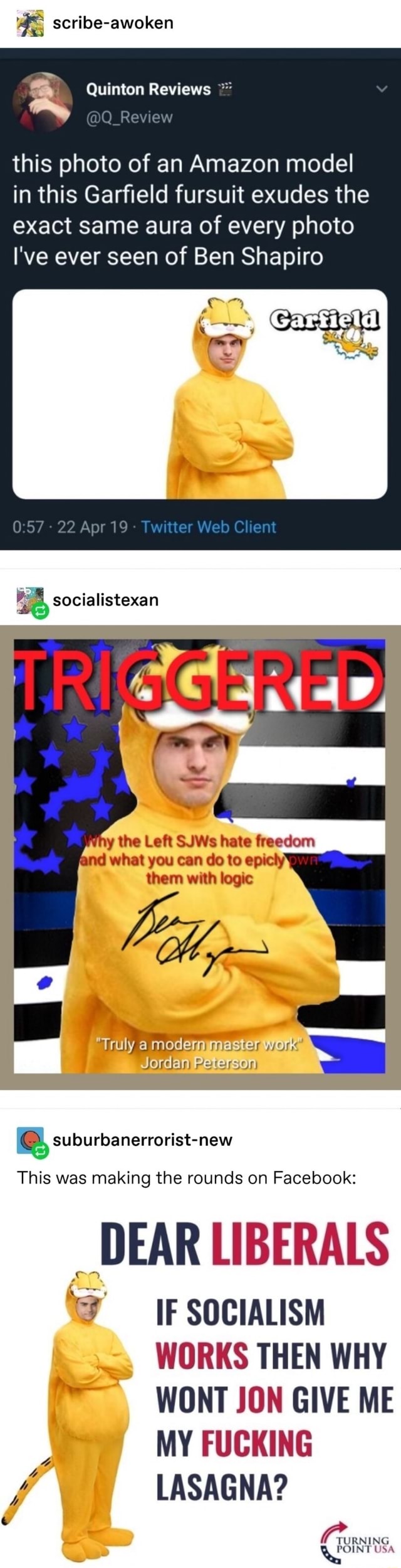 HE scribe-awoken this photo of an Amazon model in this Garfield fursuit ...