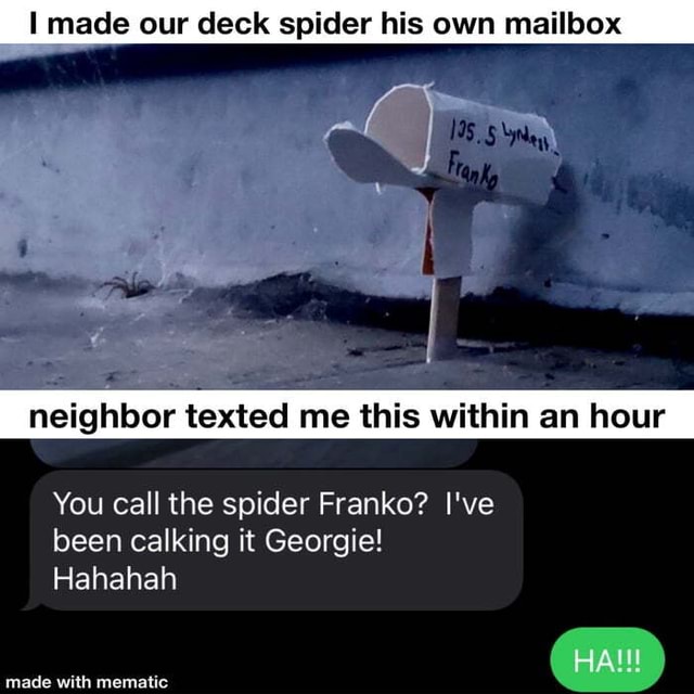 I made our deck spider his own mailbox 185, neighbor texted me this ...