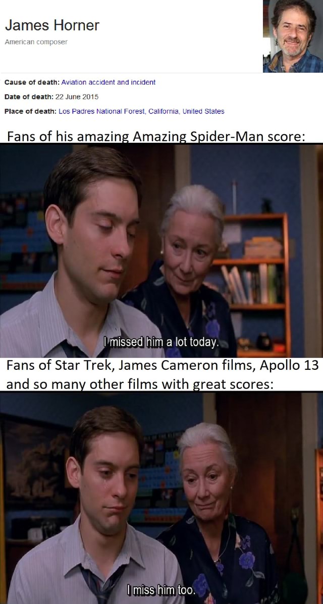 James Horner Cause of death: Aviation accident and incident Date of ...
