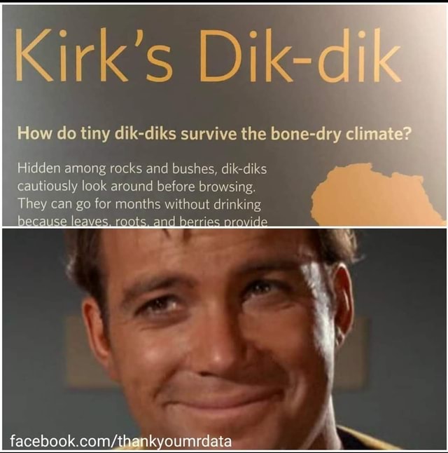 Kirk's Dike Row do tiny dik-diks survive the bone-dry climate? Hidden ...