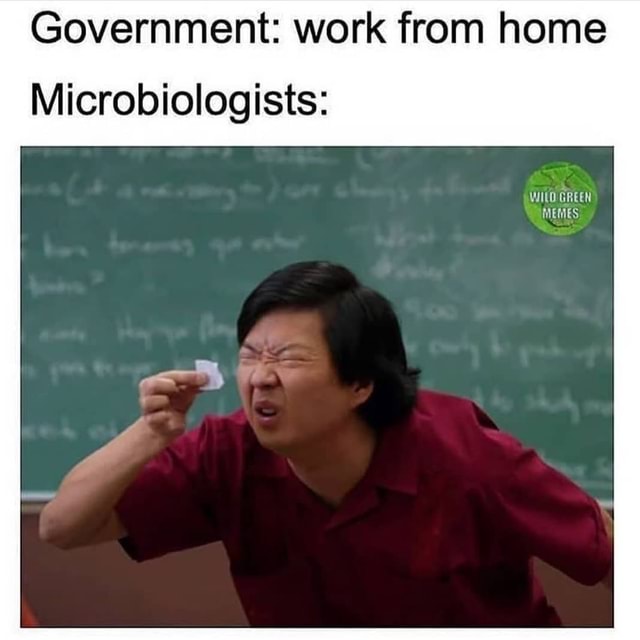 Government: work from home Microbiologists: GREEN MEMES - America’s ...