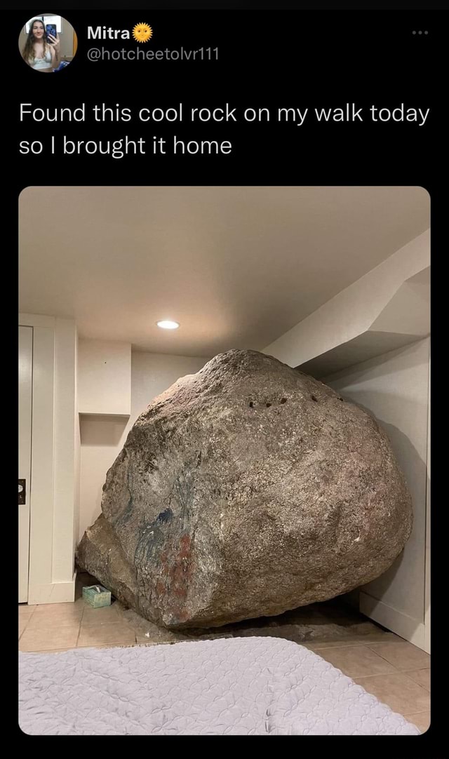 Mitra Found this cool rock on my walk today so I brought it home - iFunny