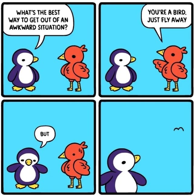 WHAT'S THE BEST YOU'RE A BIRD. WAY TO GET OUT OF AN I JUST FLY AWAY ...