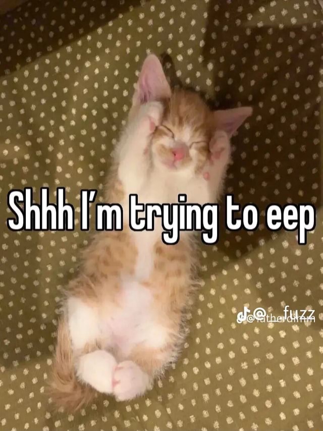 Shhh I'm Erying bo eep - iFunny