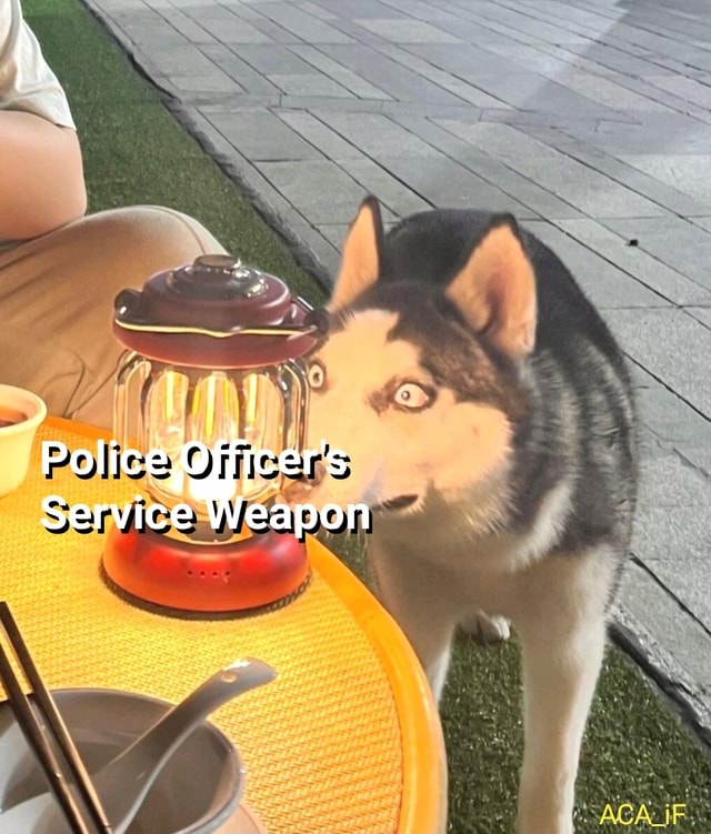 Police Officer's Service Weapon SS - iFunny