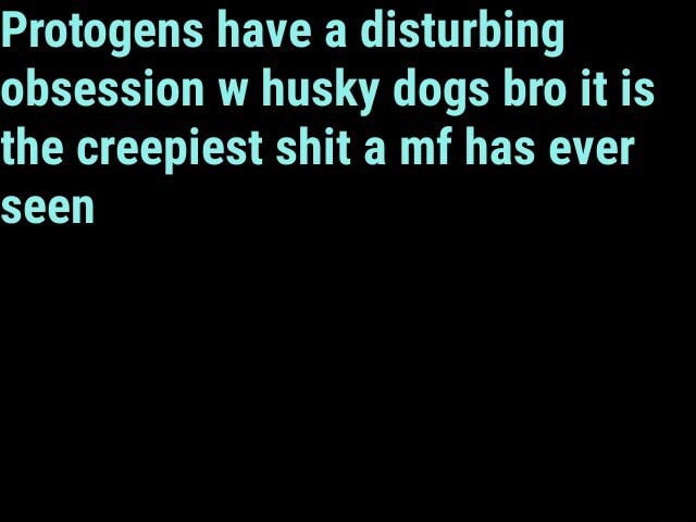 Protogens have a disturbing obsession w husky dogs bro it is the ...