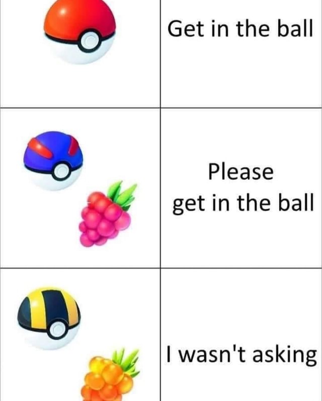Get in the ball Please I get in the ball I wasn't asking - iFunny
