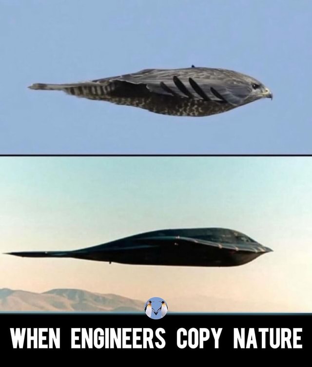 Inspired by the falcon’s aerodynamic shape, the Northrop Grumman B-2 ...