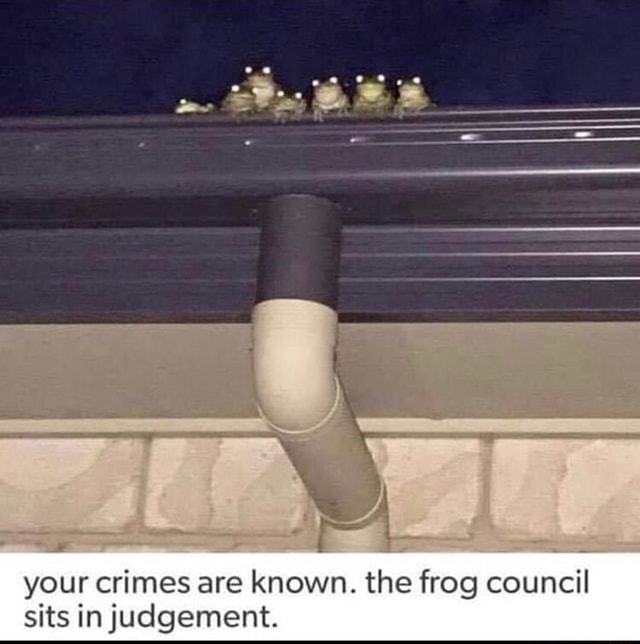 Your crimes are known. the frog council sits in judgement. - iFunny