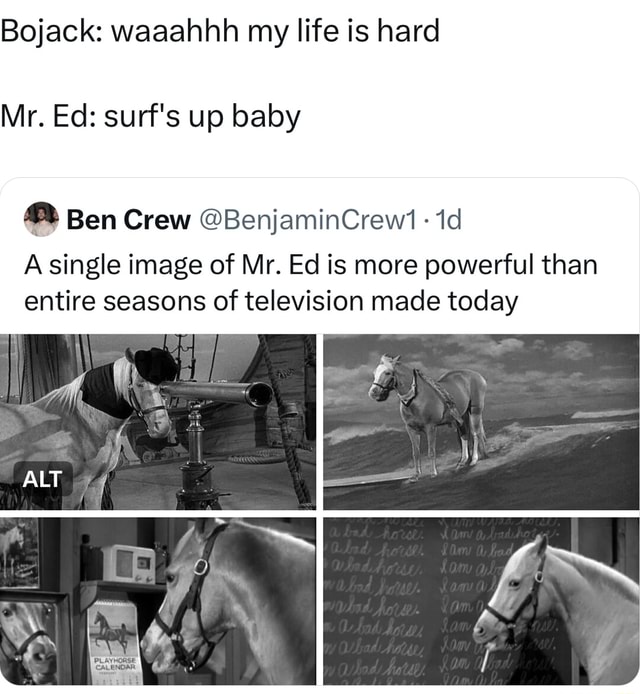Bojack: waaahhh my life is hard Mr. Ed: surf's up baby Ben Crew ...