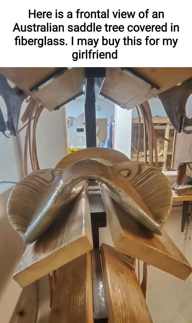 Here is a frontal view of an Australian saddle tree covered in ...