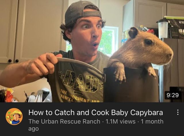 Ne How to Catch and Cook Baby Capybara The Urban Rescue Ranch - 1.1M ...
