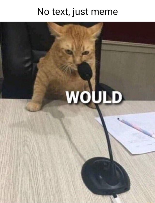 No text, just meme WOULD - iFunny
