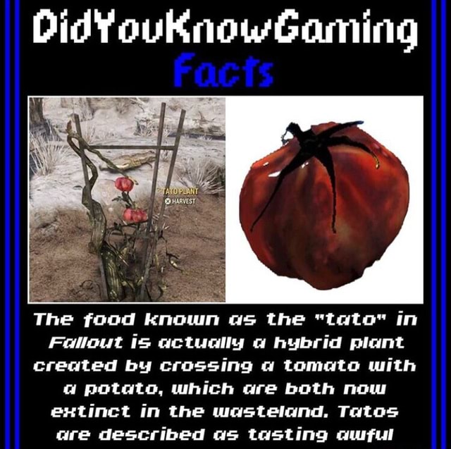DidYouKnowGaming The food known as the "tato" in Fatout is actually a ...