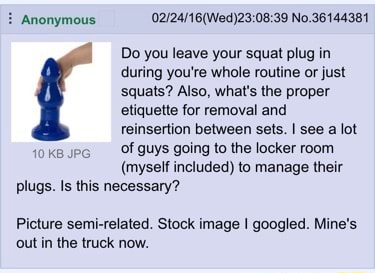 'Anonymous No.36144381 Do you leave your squat plug in during you're ...