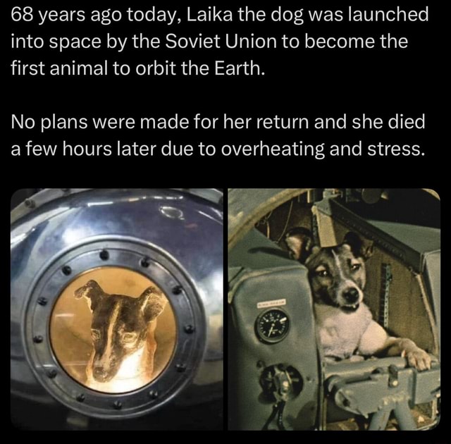 68 years ago today, Laika the dog was launched into space by the Soviet ...
