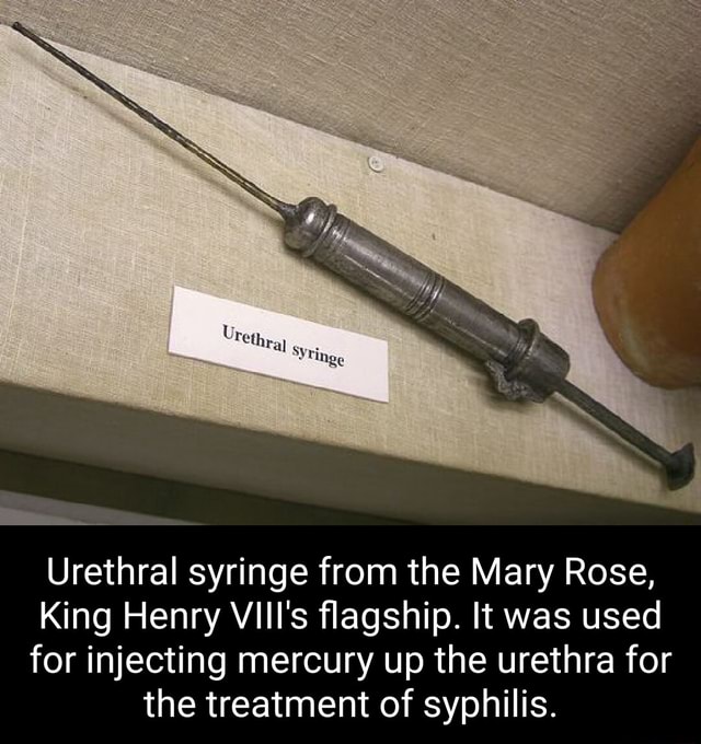 Urethral syringe from the Mary Rose, King Henry VIII's flagship. It was ...