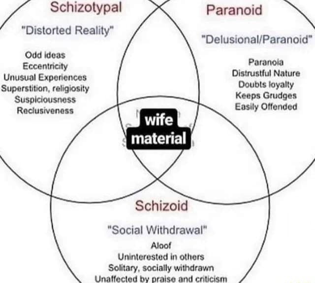 Schizotypal "Distorted Reality" Paranoid Odd ideas Eccentricity ...