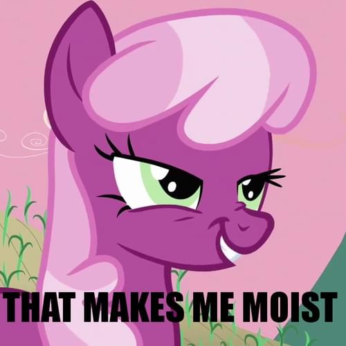 This Makes Me Moist Mlp