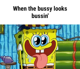 Bussy memes. Best Collection of funny bussy pictures on iFunny