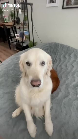 Dank memes. Best Collection of funny dank pictures on iFunny