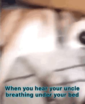 I think someone is nervous about becoming an uncle . - - iFunny :)