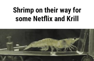 Krill memes. Best Collection of funny krill pictures on iFunny