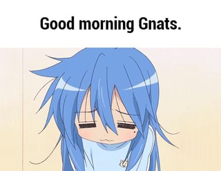 Gnats memes. Best Collection of funny gnats pictures on iFunny