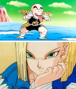 Android18 memes. Best Collection of funny android18 pictures on iFunny