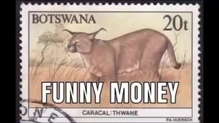 Botswana memes. Best Collection of funny botswana pictures on iFunny