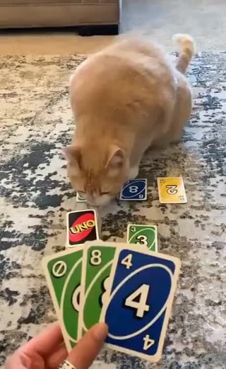 Uno memes. Best Collection of funny uno pictures on iFunny